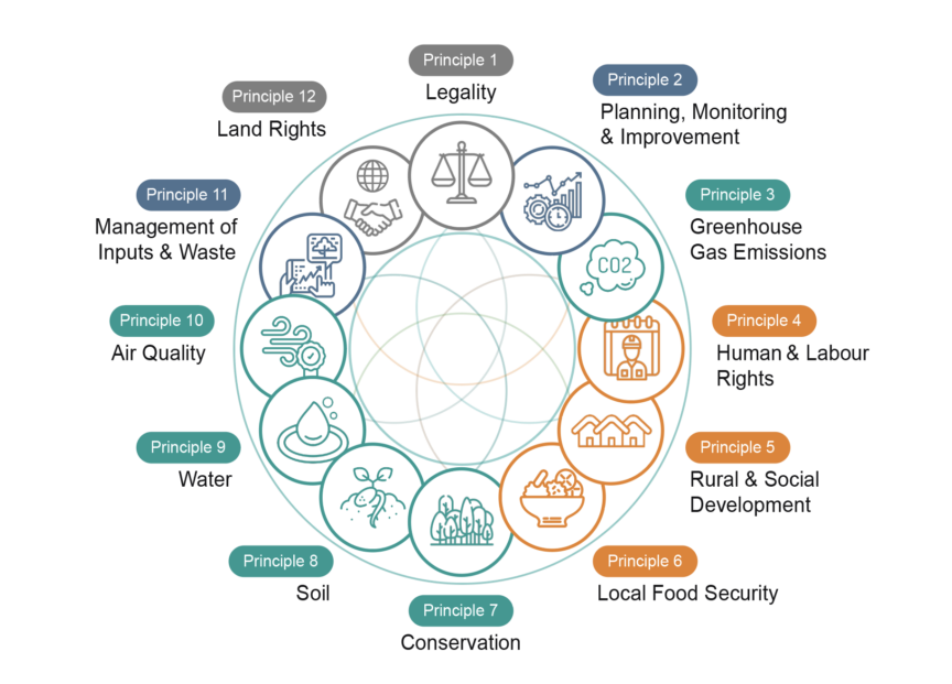 RSB CORSIA Certification – RSB